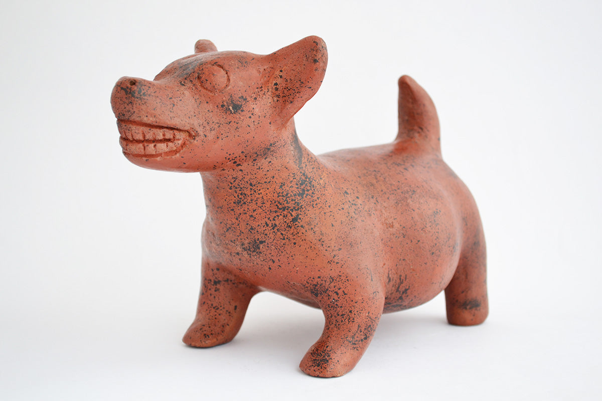 Perro Tlalchichi chico – Estilo Mexicano